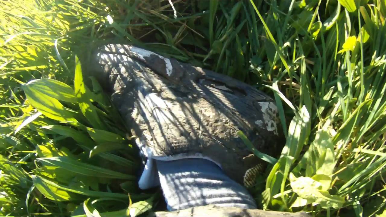 Slip and fall in mud (with AM90 and Adidas) - YouTube