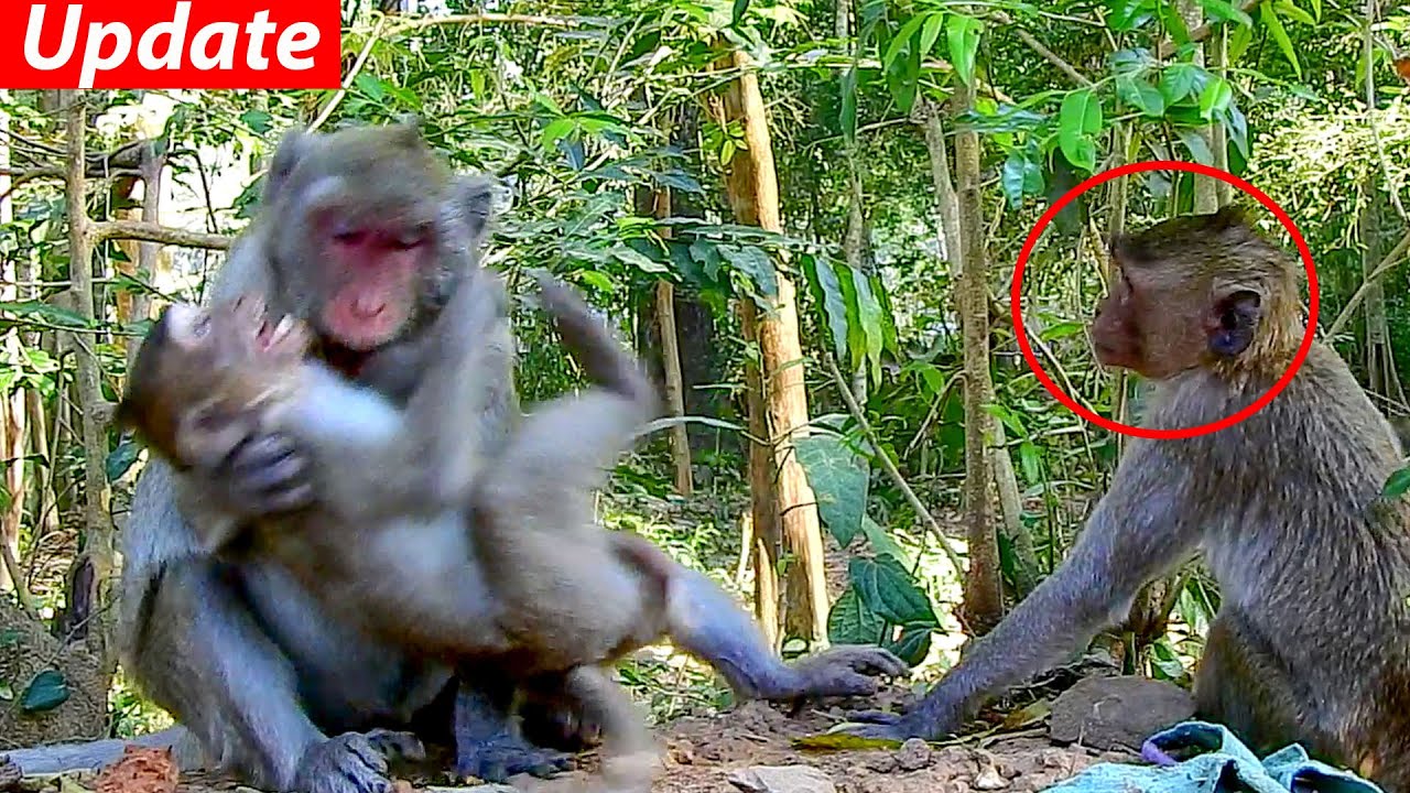 Jane great caught Jonna up bitti_ng fell on ground stop Jazzy moving ...