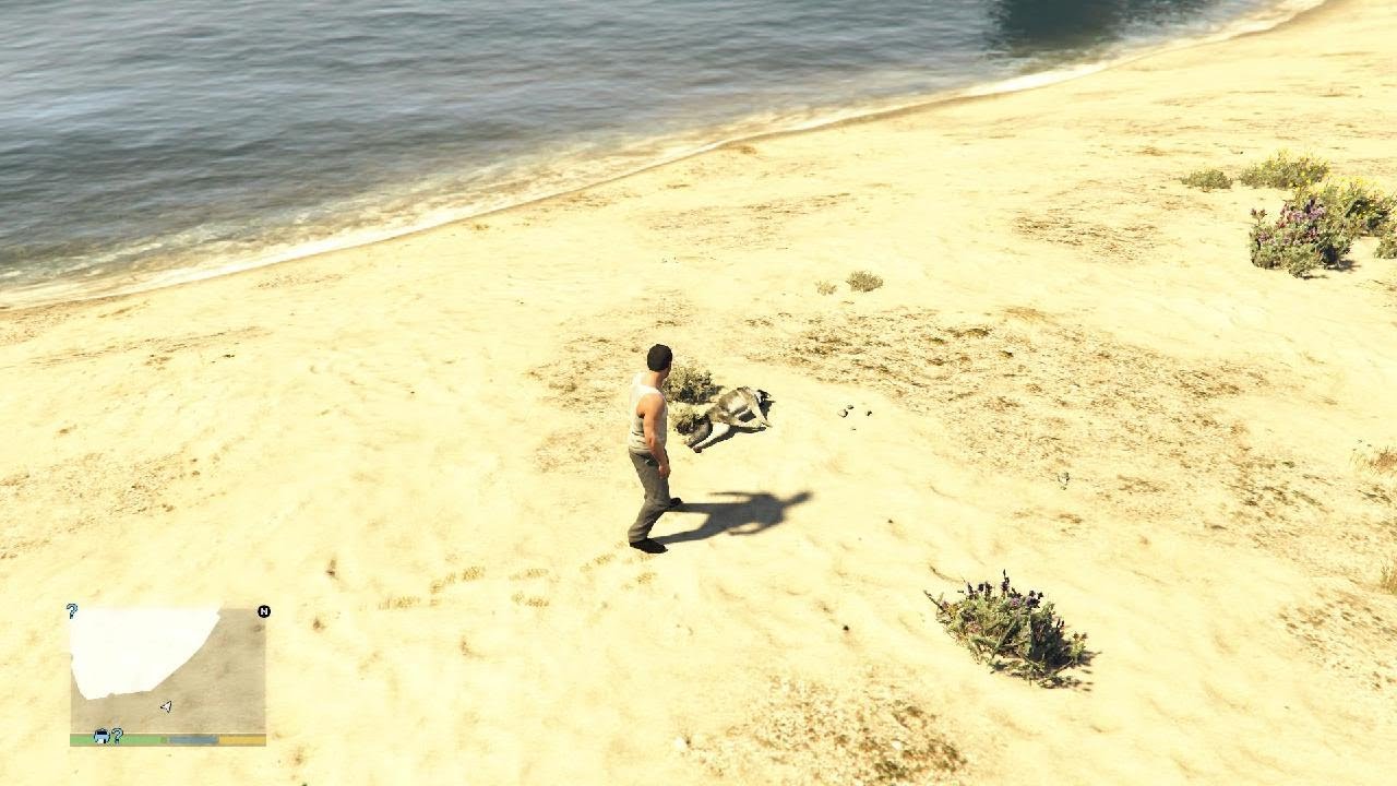 GTA 5(4K 60FPS PS5) - Dog runs away from owner to save his own life ...