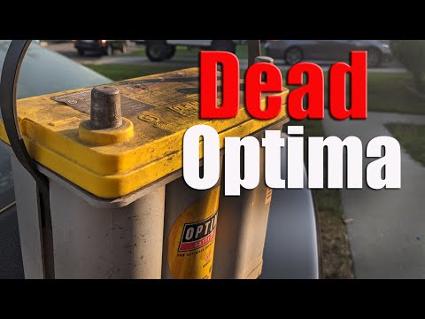 Why You Shouldn't Buy Optima Yellow Top on Amazon