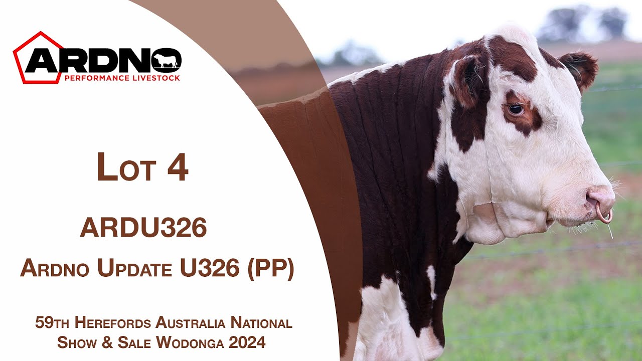 Lot 4 Ardno Update U326 (PP) - YouTube