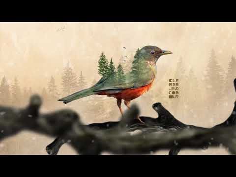 Sabiá - Canarim