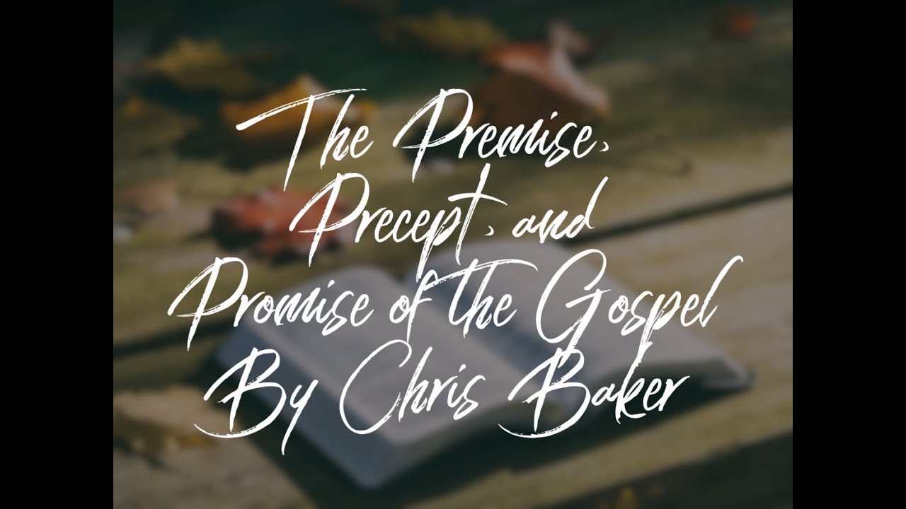 The Premise, Precept, and Promise of the Gospel - YouTube