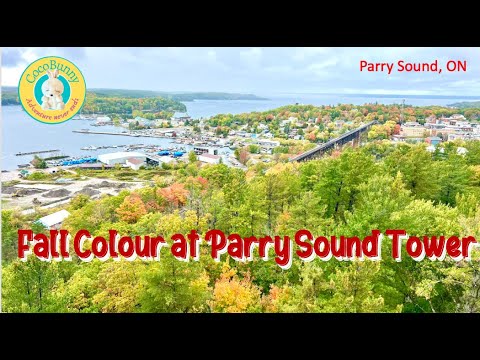 Fall Colour 360 degree view at the Parry Sound Lookout Tower - YouTube