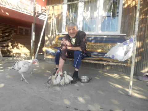 Avtas xosovnas