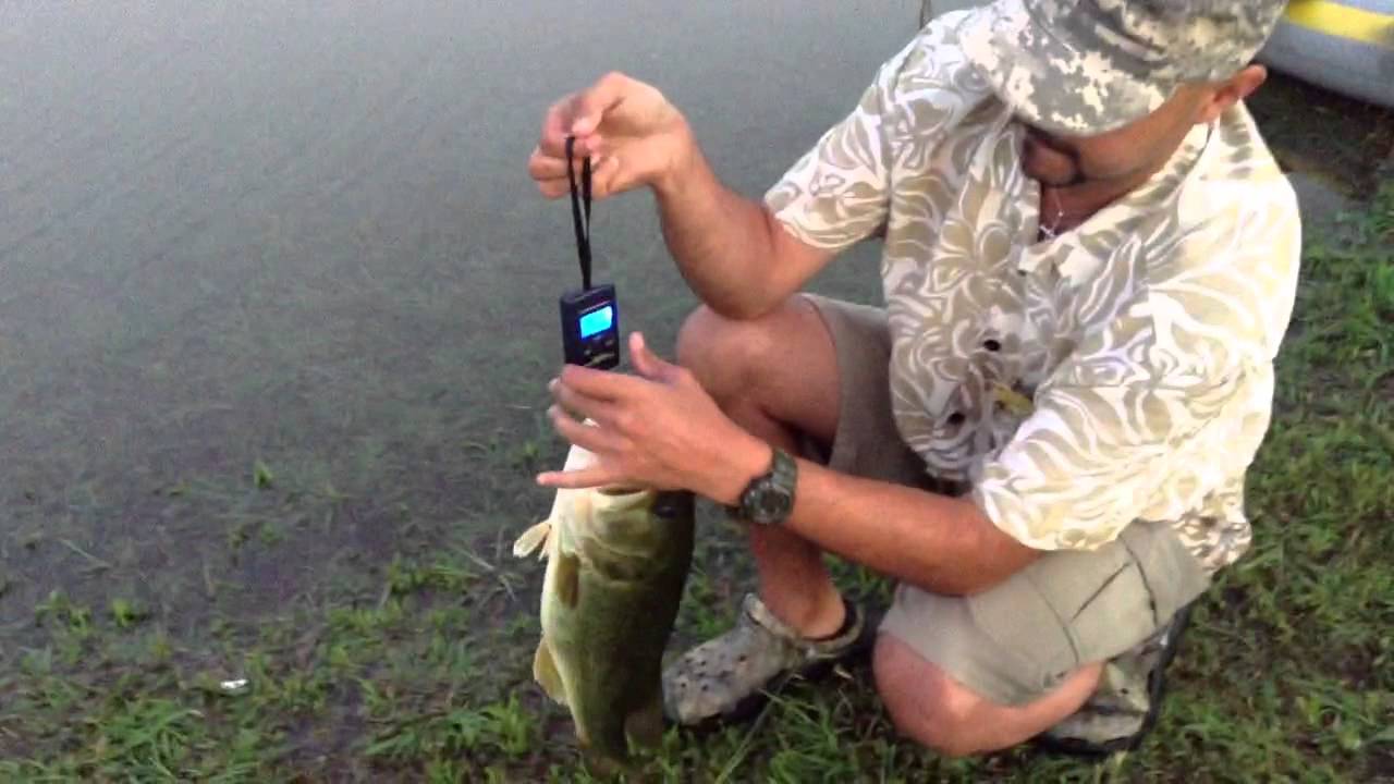 Lunker Bass Hog Fishing - YouTube