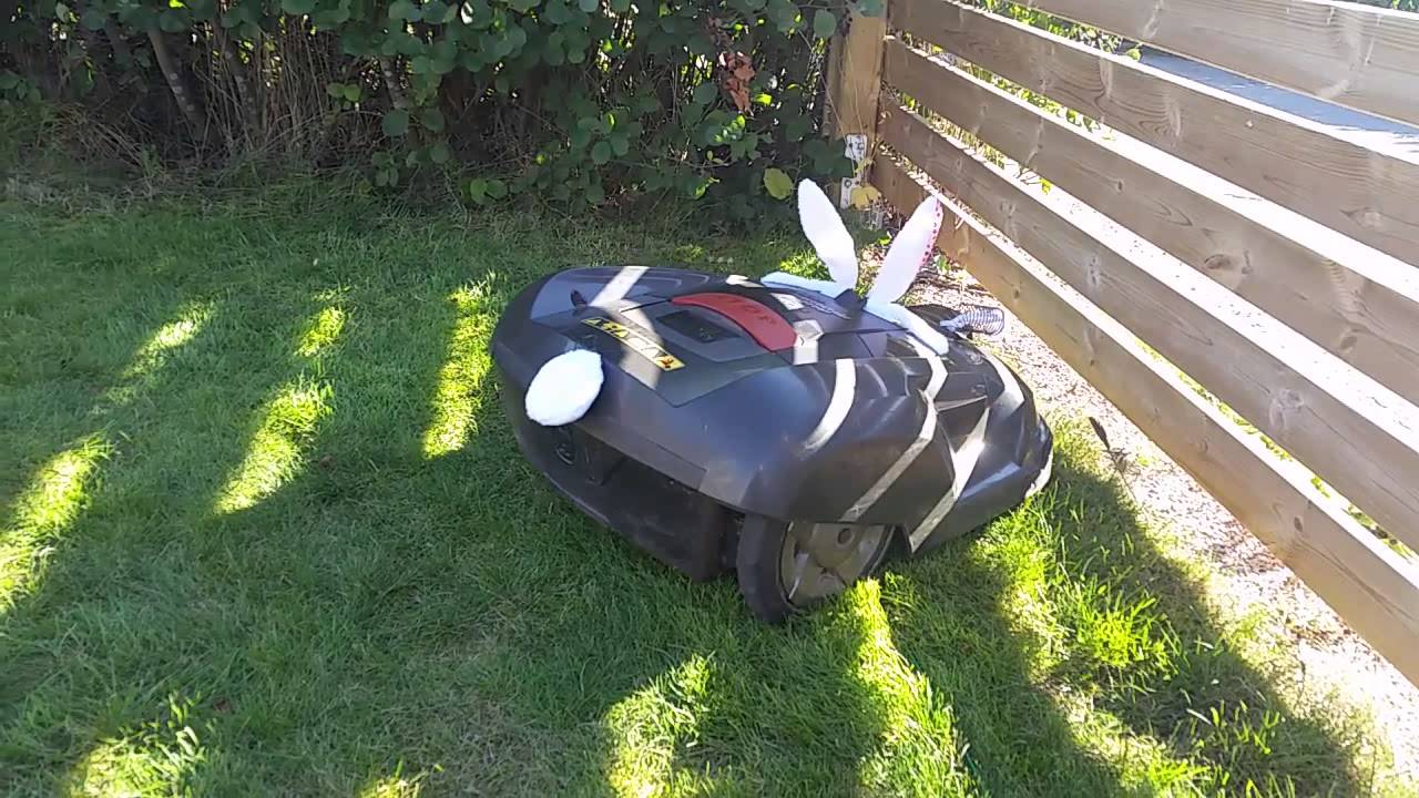 Pimp my lawnmower . Rabbit - YouTube