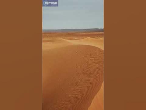 Why We Don’t Cover Sahara Desert With Solar Panels To Generate ...