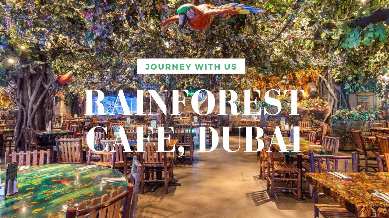 RAINFOREST CAFE, DUBAI - WALKTHROUGH TOUR - YouTube