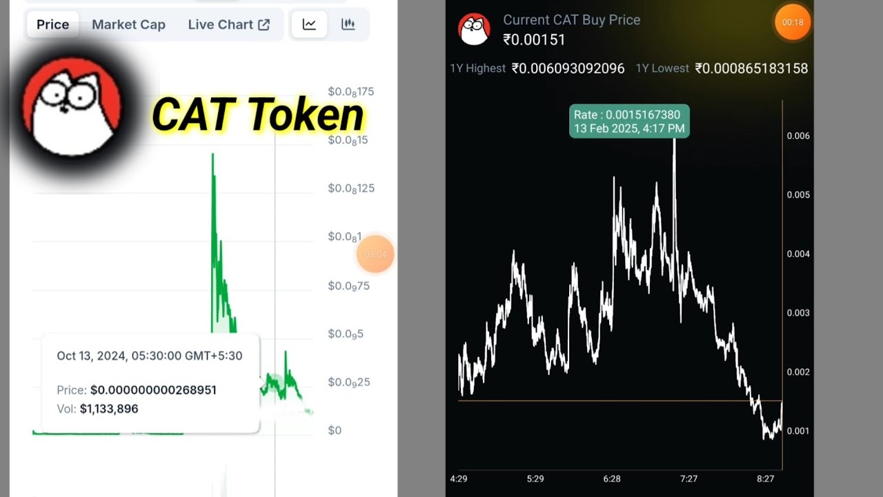 What is CAT Coin | cat token project review 2025 | cats token price ...