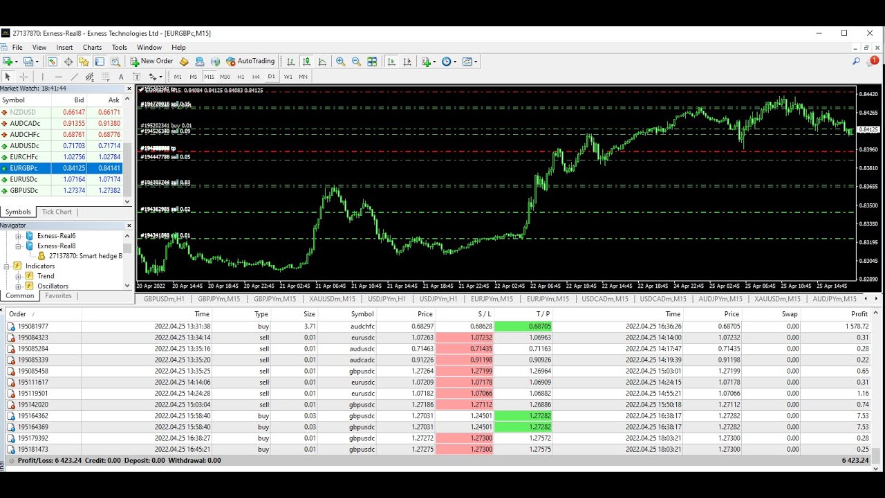 Smart Hedge Robot Mt4 Real Account 2022 - YouTube