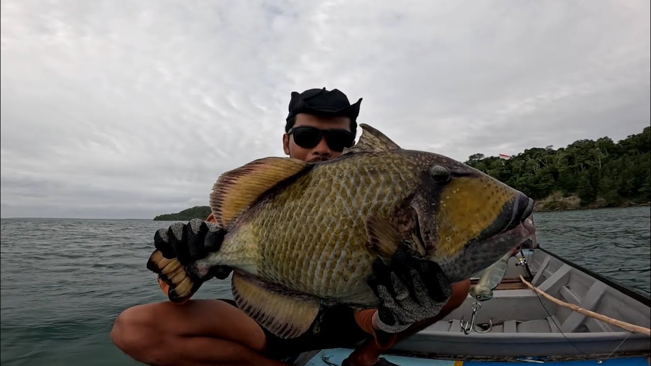 SENG DI SANGKA IKAN INI SAMBAR POPPER #mancingpopping #fishing # ...