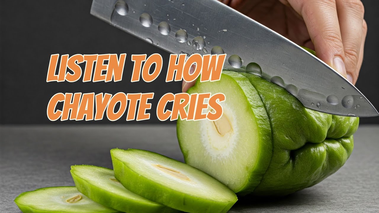 Cut sayote like this #cutting #slicing #asmr #trending - YouTube