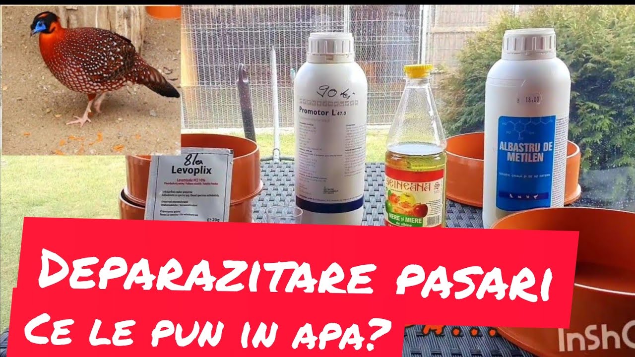 Ce le pun in apa de baut pasarilor mele???...Deparazitarea interna ...