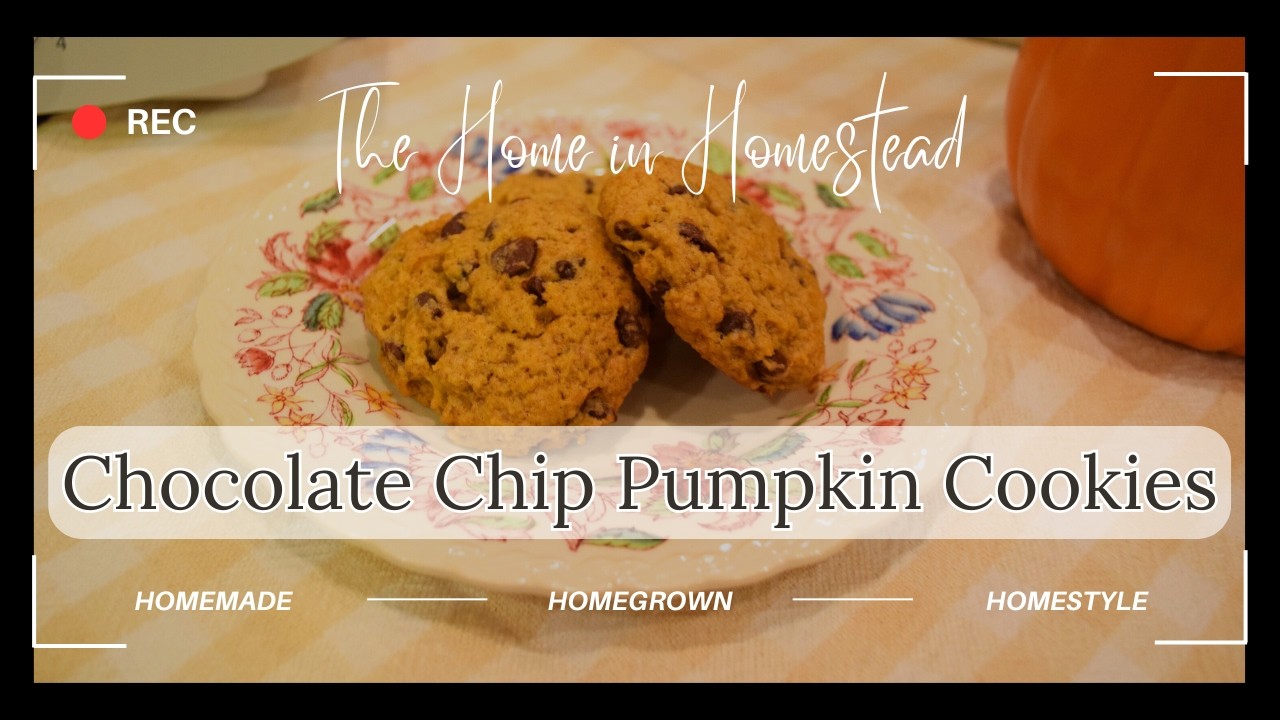 Chocolate Chip Pumpkin Cookies | Pumpkin Recipe | Tasty Cookies with ...
