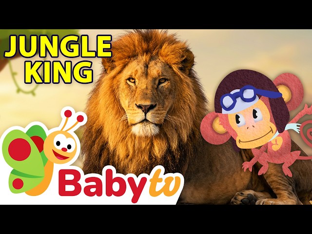 Lion: The King of Animals 🦁 | Learn About Wild Animals for Kids @BabyTV ...