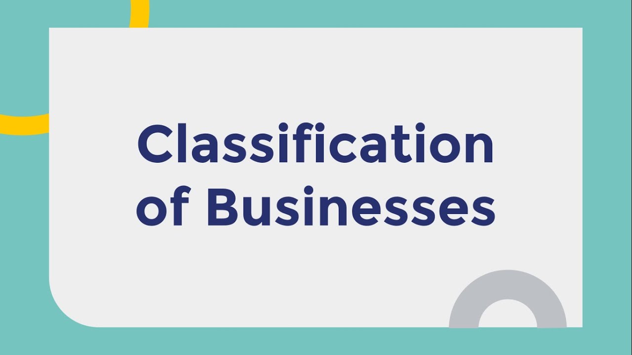 Classification of Businesses - Chapter 2 - Business Studies IGCSE - YouTube