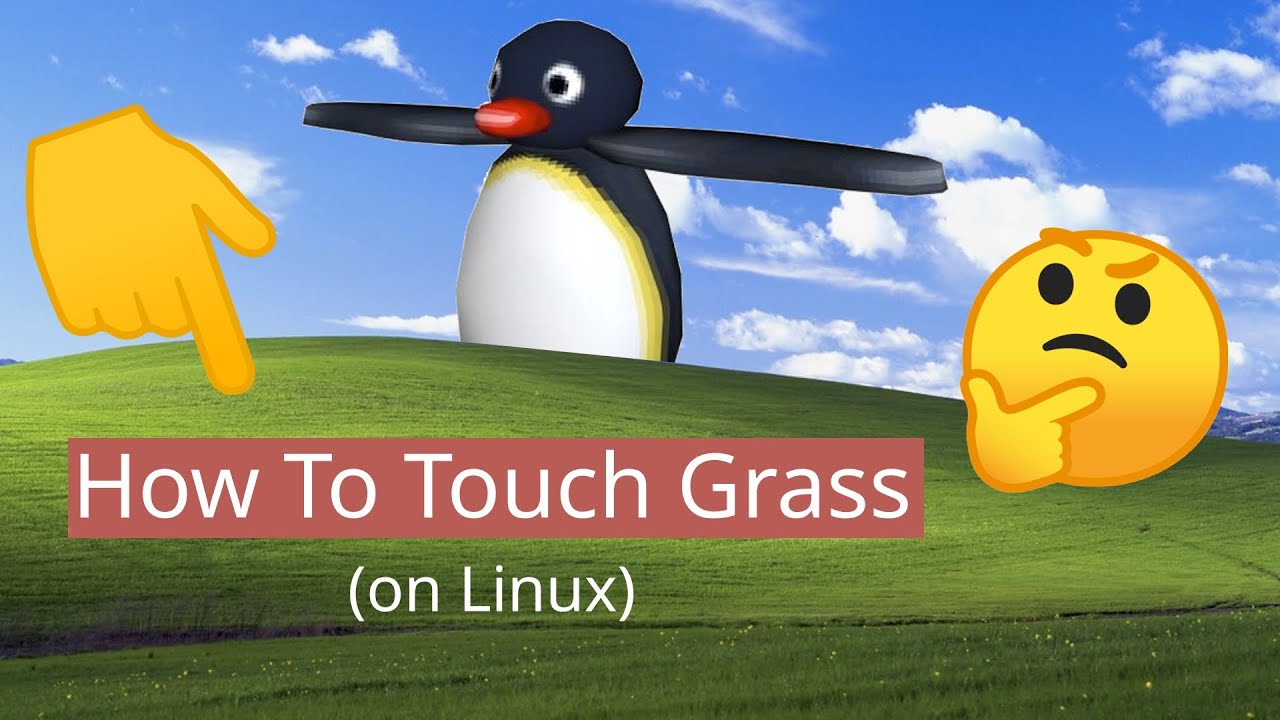 How To Touch Grass (Working Tutorial - 2023) - YouTube