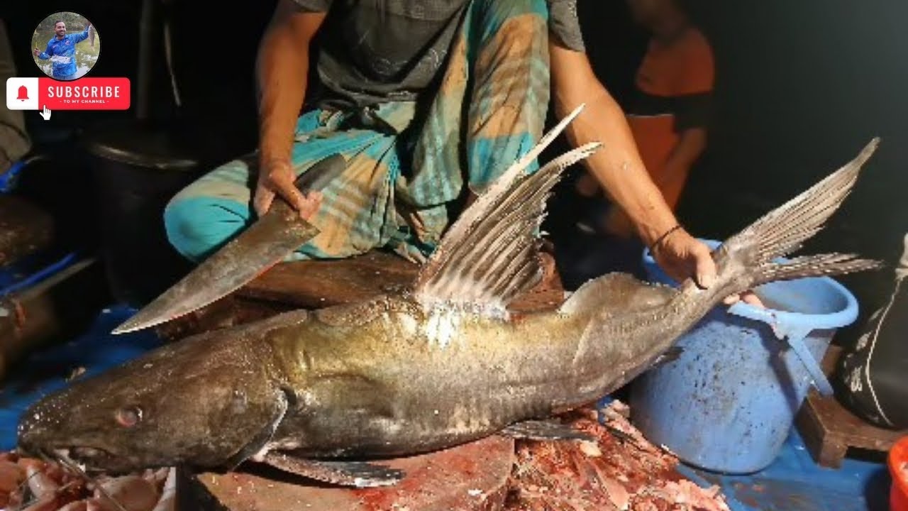 "Massive Ayir Fish Cutting in Bagerhat | Traditional Fish Market Scene ...