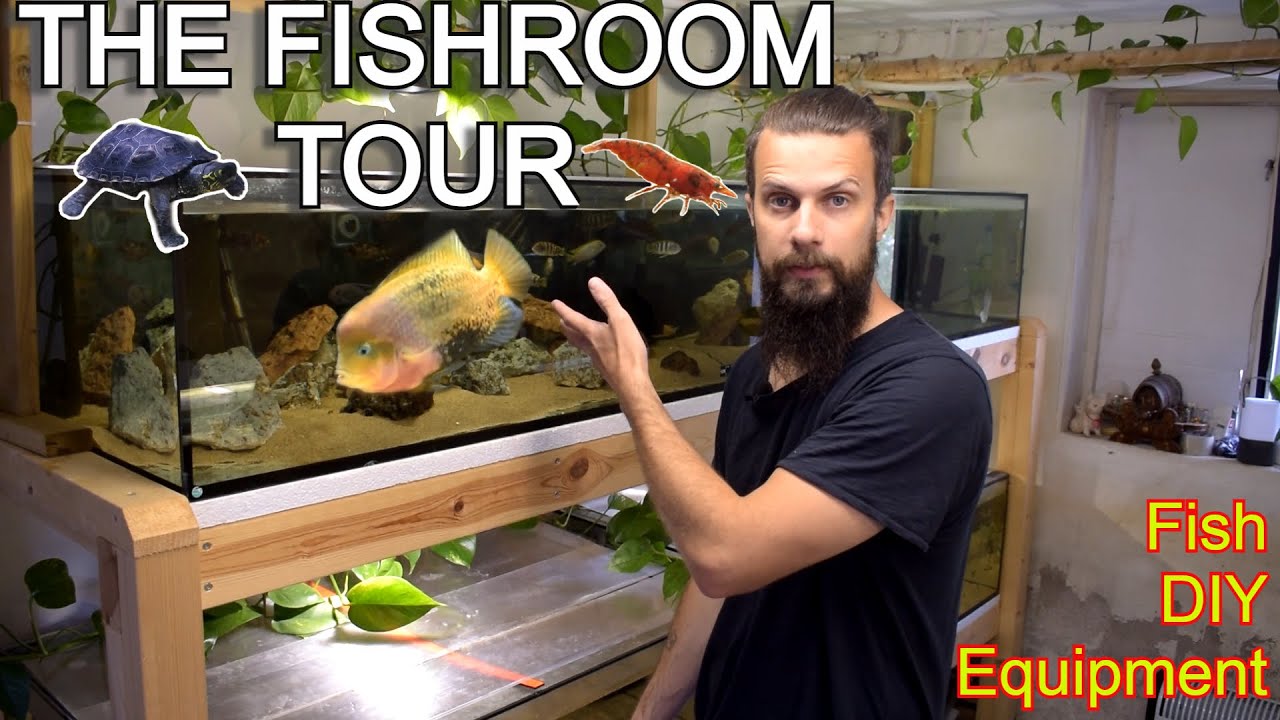The fishroom tour: DIY stuff, lots of fish and equipment - YouTube