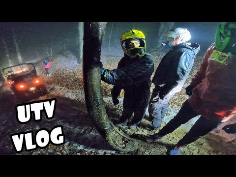 NE-AM RATACIT NOAPTEA ÎN PADURE 😱 - YouTube