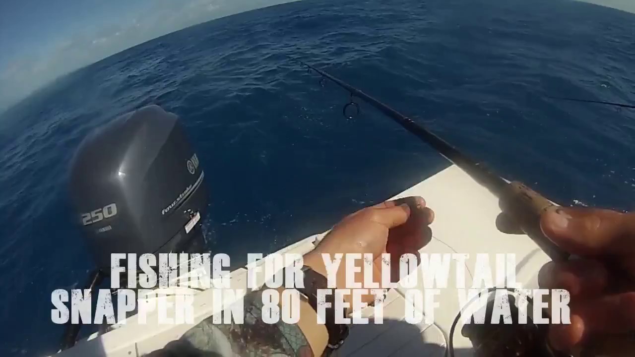 Catching BIG Yellowtail Snapper in the Florida Keys - YouTube