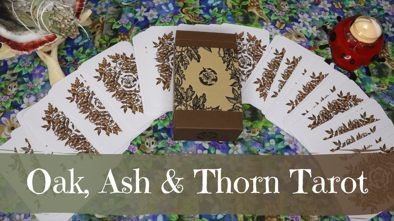 It's finally here!! Oak, Ash & Thorn Tarot | Meditative Animal Deck ...