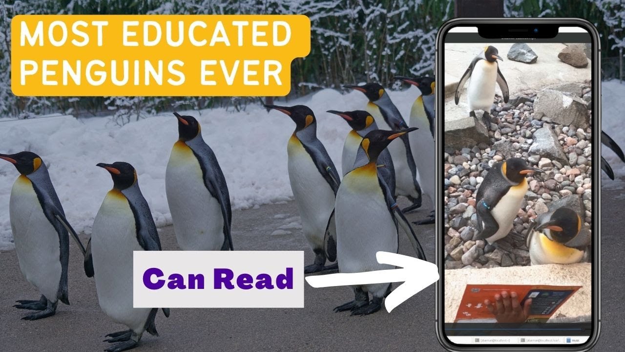 Emperor penguin trying to read! Educated penguins ever. #funnyanimals # ...