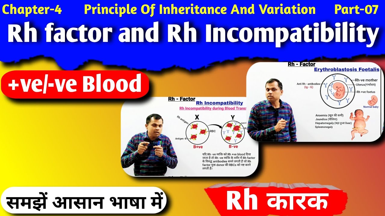 Rh Factor | Rh blood group system | Rh Incompatibility ...