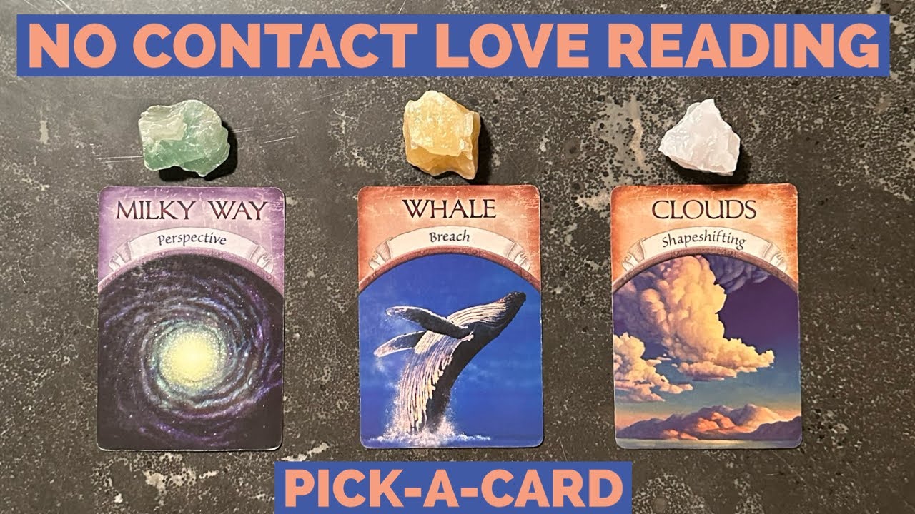 👤🤫 ️‍🩹No Contact Love Reading ️Pick-A-Card Love Reading ️ - YouTube