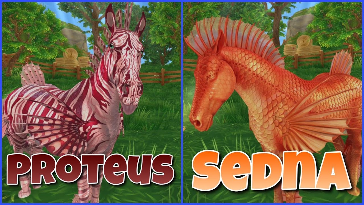 SEDNA und PROTEUS sind da! [Pferdekauf] |SSO - YouTube