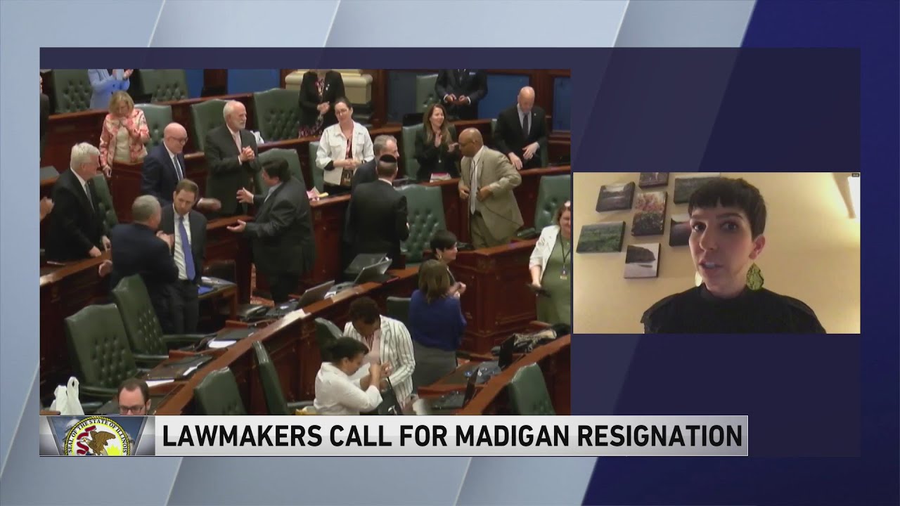 Rep. Stava-Murray discusses calls for Speaker Madigan to resign - YouTube