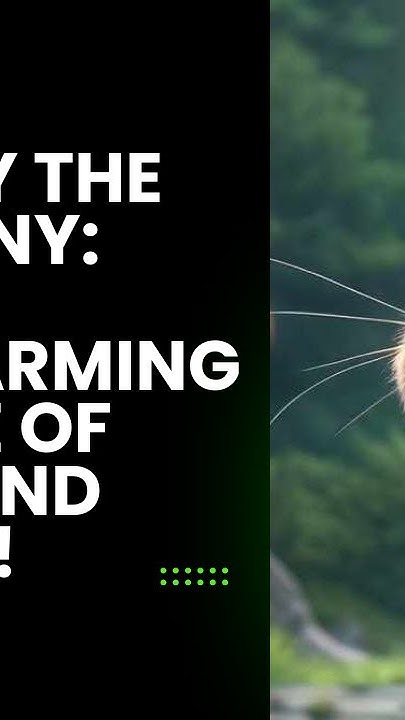 Meet Benny the Brave Bunny: A Heartwarming Adventure of Courage and ...