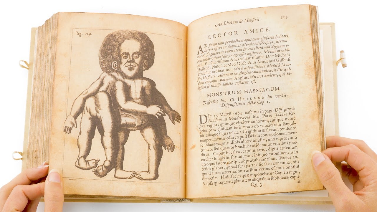De Monstris -- Facsimile Editions and Medieval Illuminated Manuscripts ...
