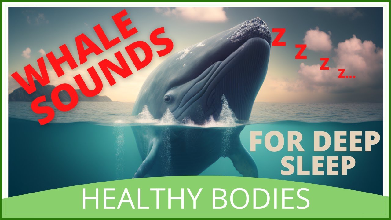 Whale Sounds for Deep Sleep - YouTube