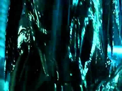 Wolf Predator vs Predalien - YouTube