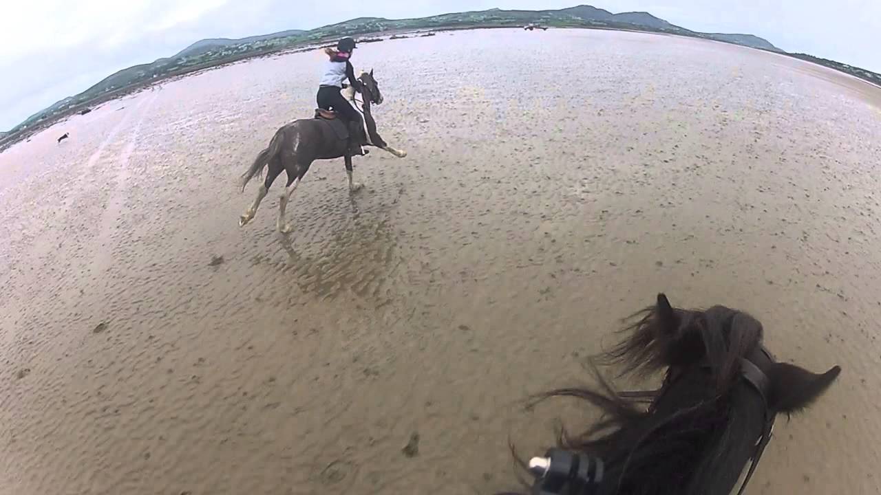 Malin Stables - Trabeaga Bay Gallop - Malin Inishowen Co. Donegal - YouTube