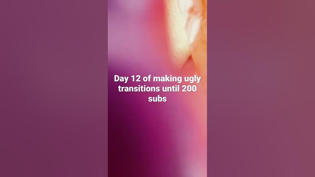Day 12 Youtube