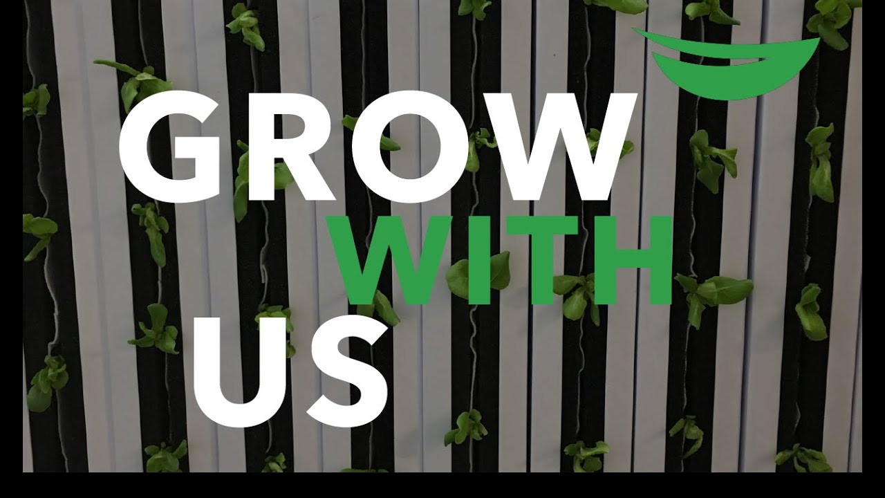 Come Grow With Us! - YouTube