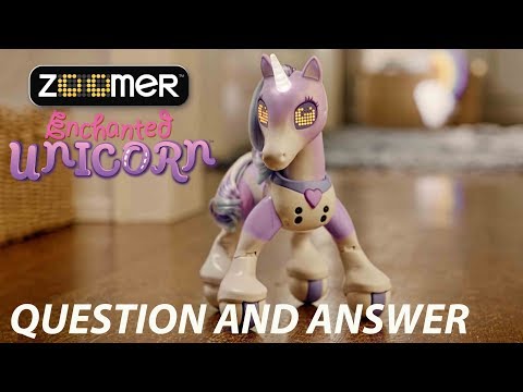 Zoomer | Enchanted Unicorn | Question and Answer