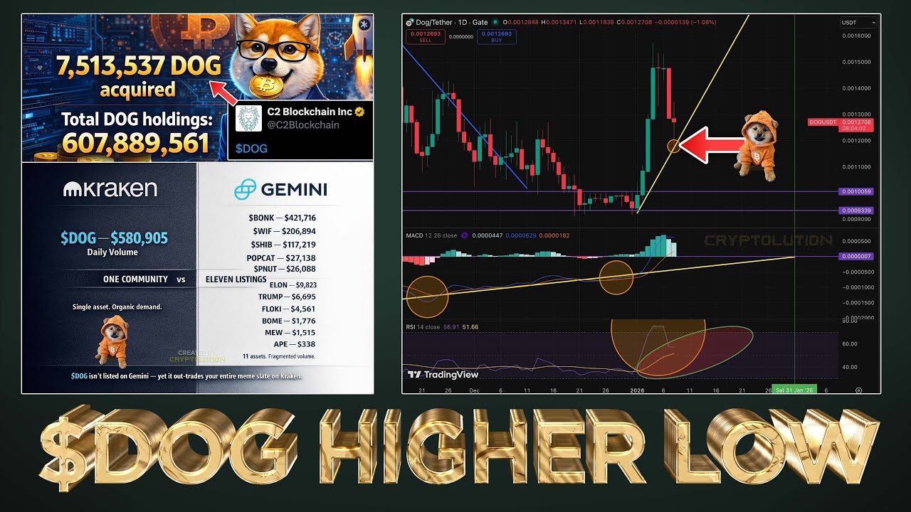 $DOG Forms Higher Low (New Bull Trend) 🐂📈 - YouTube