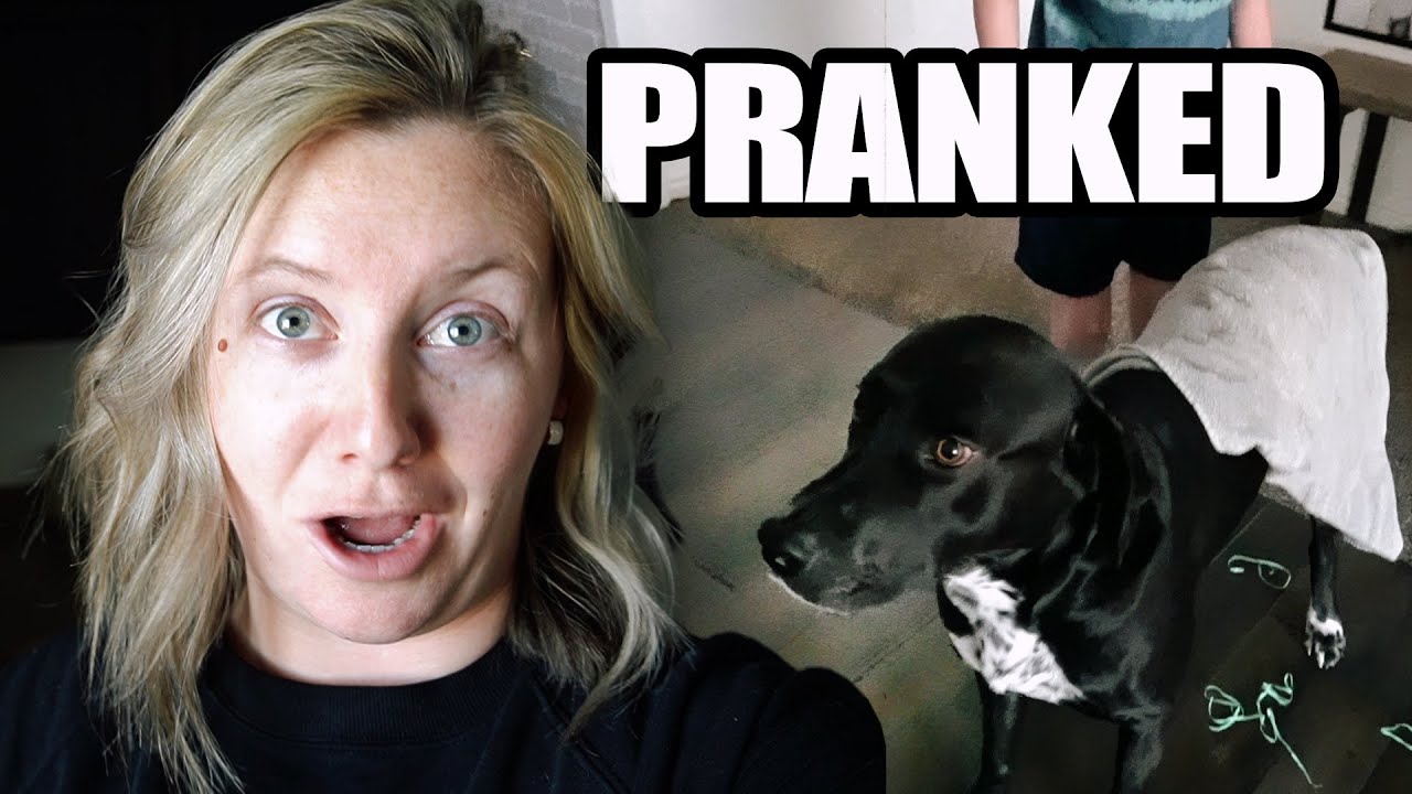 WE GOT PRANKED! April Fools Day 2021 - YouTube