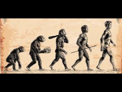 EVOLUTION LECTURE 1 - YouTube