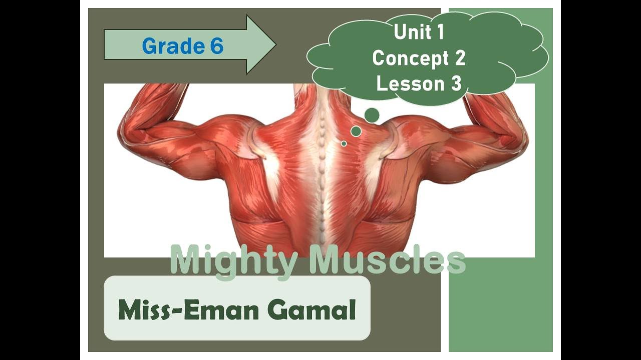 Science Grade 6 | Unit 1 - Lesson 3 p1 - Concept 2 | Mighty Muscles ...