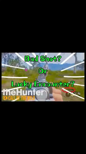 Bad Shot or Lucky Encounter? Leucistic Kangaroo. theHunter Call of the ...