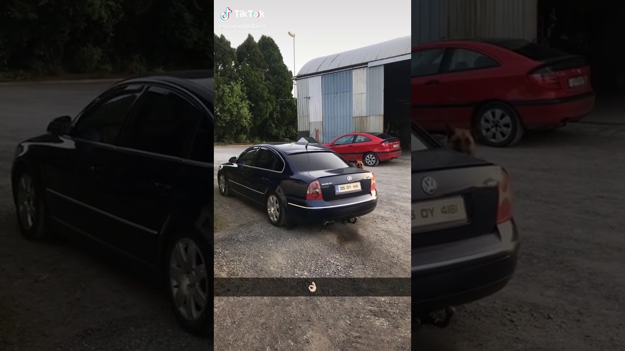 Reeky cars ni - YouTube