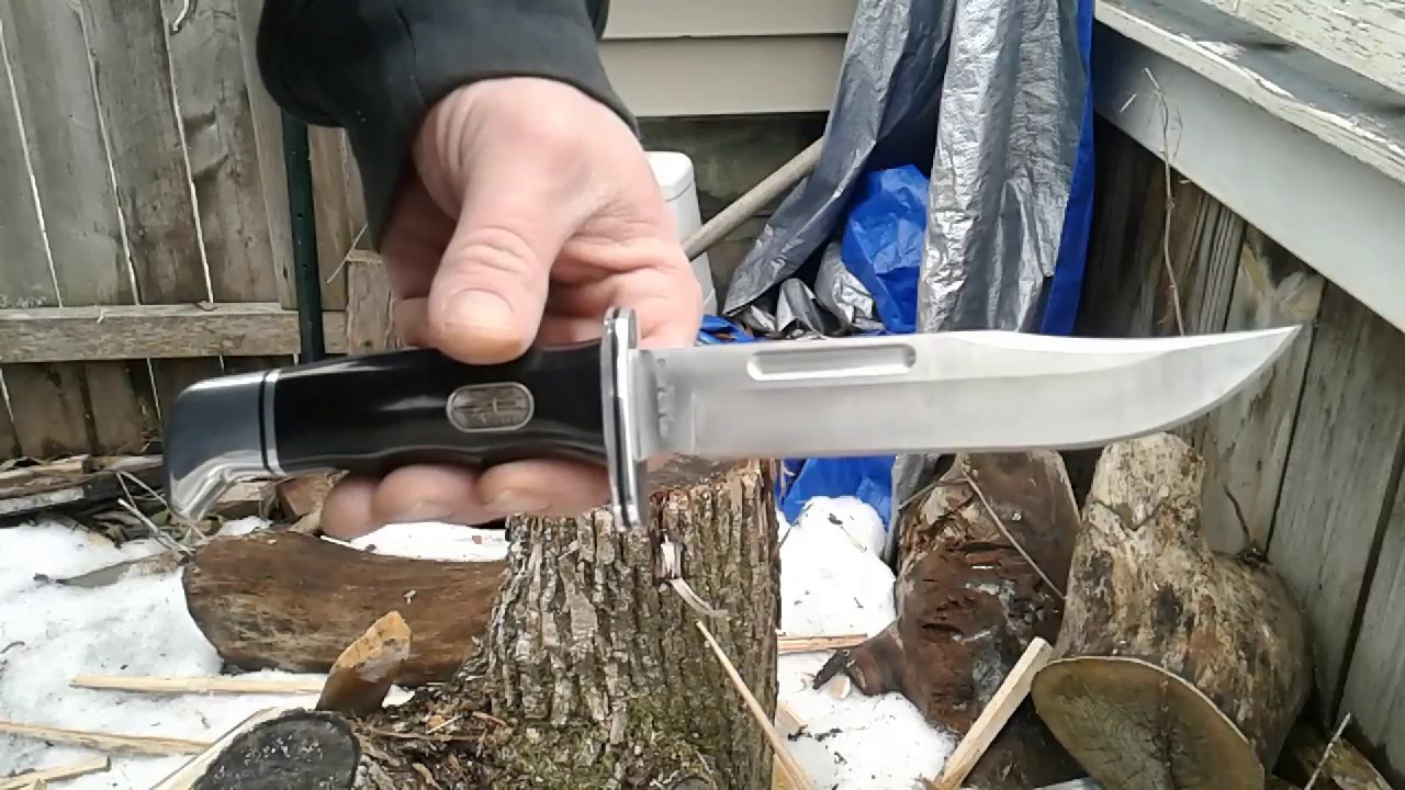 BUCK 119(SPECIAL 75TH ANNIVERSARY) WHAT A GORGEOUS KNIFE😍 - YouTube