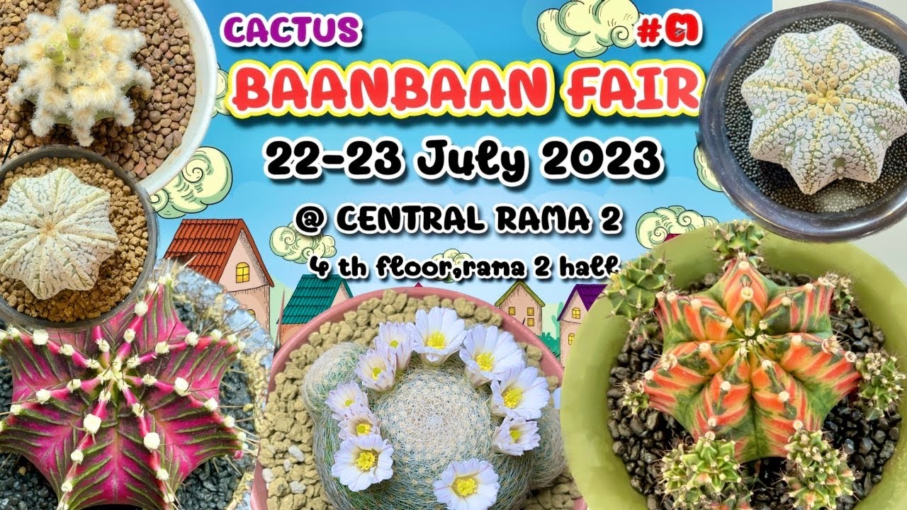 Tour Cactus Fair: 🌵💚🎉Cactus Baan Baan Fair#3 @Central Rama2 | 22-23 ...