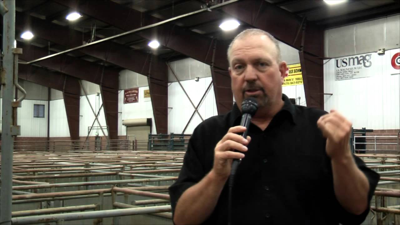 Tooele County Fair 2014 Preview - YouTube