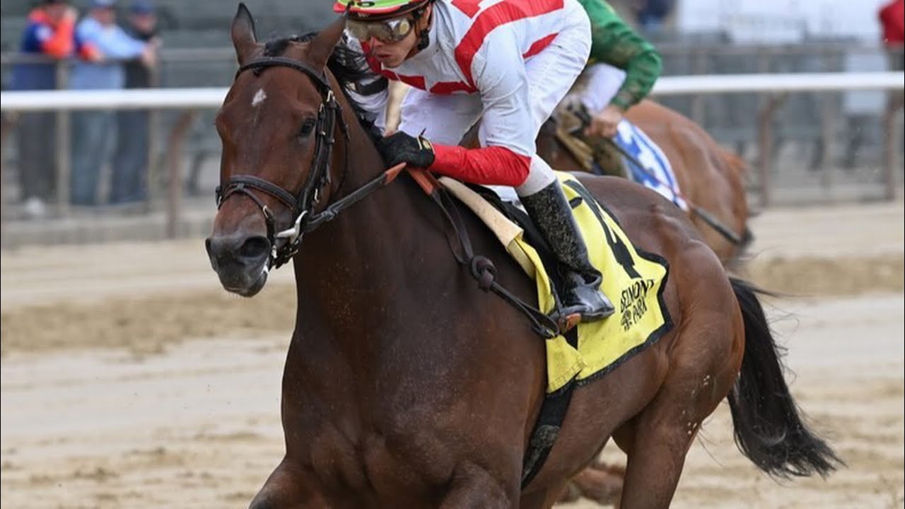 What is a Tri Cast Bet? 🐎 Tri Cast Betting Explained 🏇 - YouTube